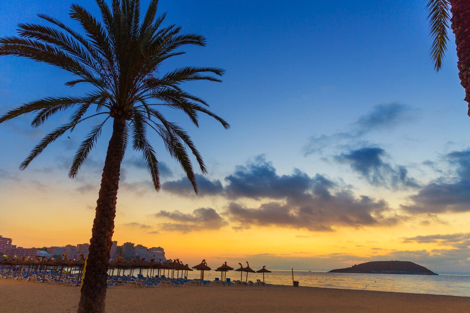 Magaluf Nightlife - Where To Eat Drink & Shop | Iroko Mallorca