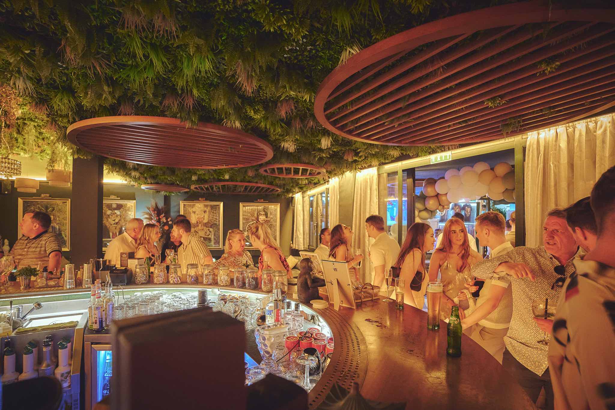 Gallery | Iroko Mallorca | Palmanova Mallorca